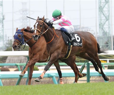【ミモザ賞】エセルフリーダ 直線一気の強襲決め2勝目！戦法チェンジに武藤好感触「イメージ通りの競馬」 競馬ニュース Netkeiba