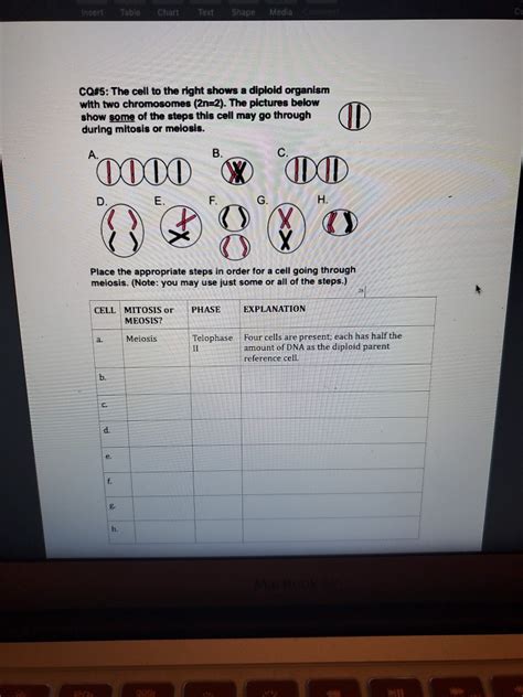 solved insert table chart text shape media cq 5 the cell to