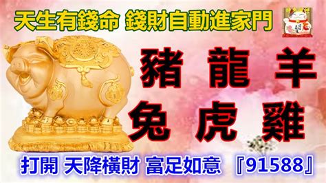 天生有錢命，錢財自動進家門，豬 龍 羊 兔 虎 雞，打開 天降橫財 富足如意 『91588』 Peekme