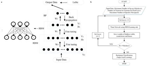 A Dbn Structure B Flowchart Of The Dbn Training Process