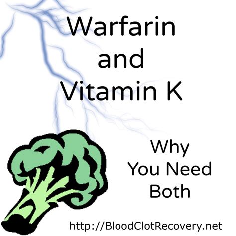 Warfarin And Vitamin K Why You Need Both Blood Clot Recovery Network