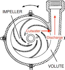 6 Main Parts Of Centrifugal Pumps Linquip