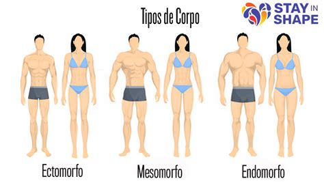 Biótipo Corporal A especificidade de cada corpo Stay in Shape