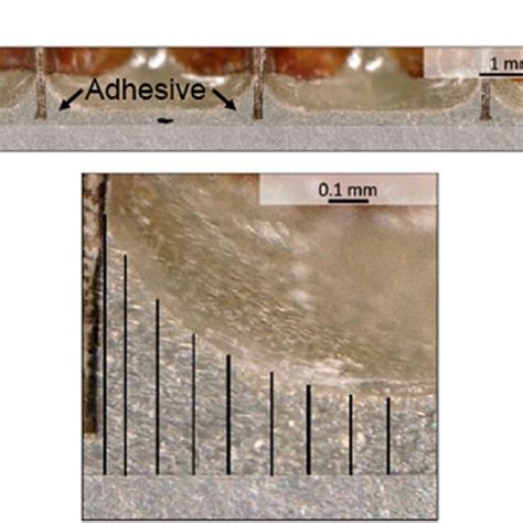A Cross Section Of Adhesive Fillet Model Validation Sample B Sample Download Scientific