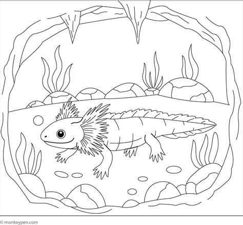 Olm Free Coloring Pages