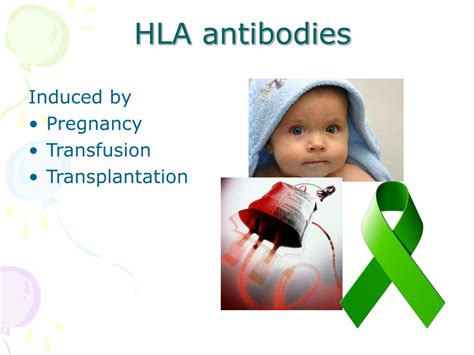 Ppt The Ubiquitous Hla System Applications In Transfusion And