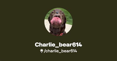 Charlie Bear614 Tiktok Linktree
