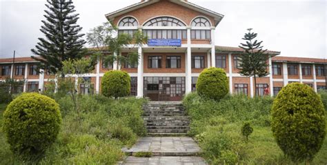 स्ववियु चुनाव को सरगर्मि सुरु बिम्ब अनलाइन