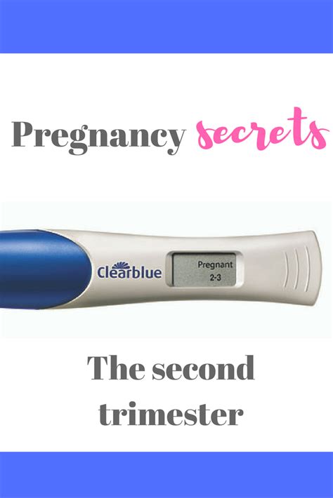 Secrets Of The Second Trimester Pregnancy Symptoms And Signs