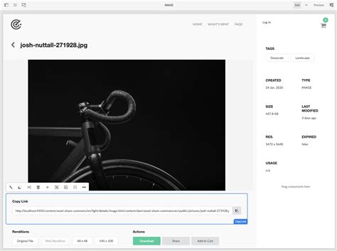 Copy Link Asset Details Component · Issue 490 · Adobeasset Share