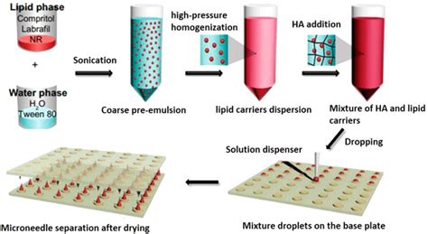 Frontiers Microneedle Mediated Transdermal Delivery Of Drug Carrying