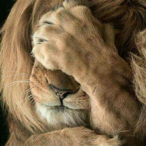 Known Issues In June Windows Cumulative Updates