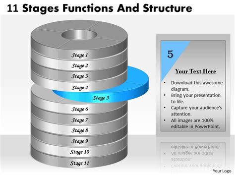 1013 Business Ppt Diagram 11 Stages Functions And Structure Powerpoint