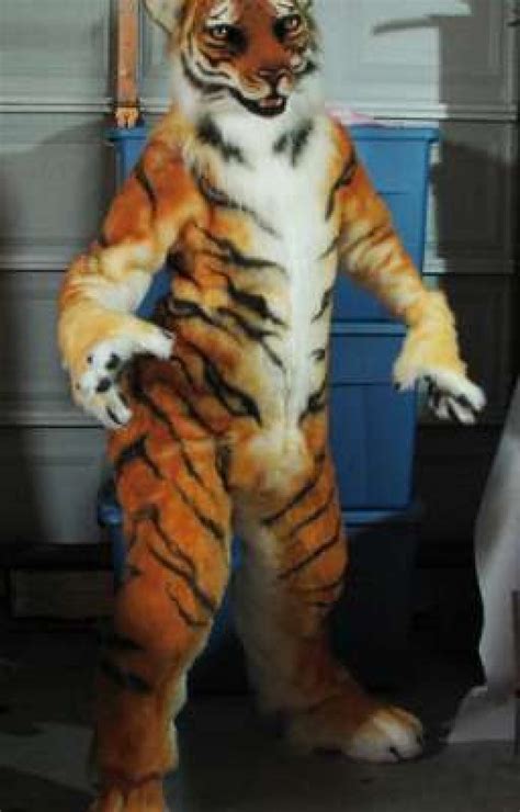 Tigerstar Stories Wattpad