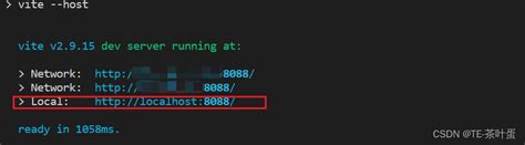 详解localhost与127001：本地开发与网络测试的基石 Csdn博客