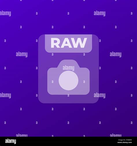 Raw File Icon With A Camera Vector Stock Vector Image And Art Alamy