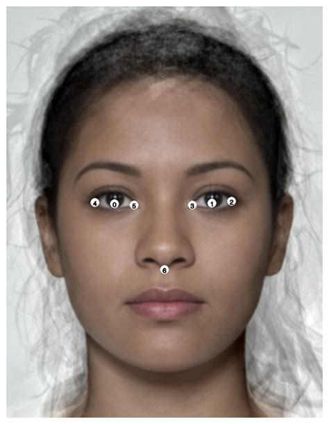 Face Detection For WebmorphR WebmorphR Dlib