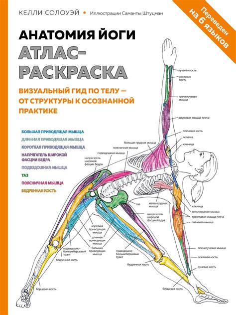 Купить Солоуэй К.: Анатомия йоги: атлас-раскраска. Визуальный гид по ...