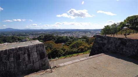 番外編 Ⅲ 舞岡公園は野性の王国