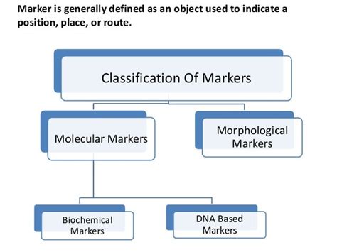 Molecular Markers