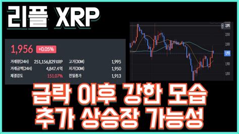 리플 Xrp 급락 이후 강한 모습 추가 상승장 가능성 Youtube