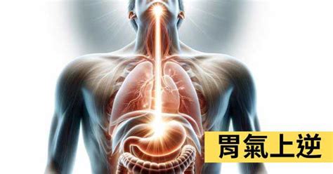 胃氣上逆的原因症狀與經絡，運用穴道與中藥加以改善！ 雲端中醫養生
