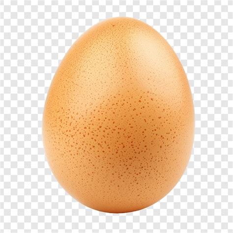 Premium Psd Chicken Egg Side View Full Length On Transparency
