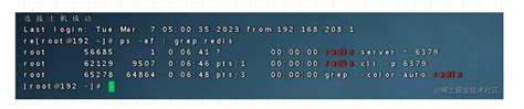 Linux Redis