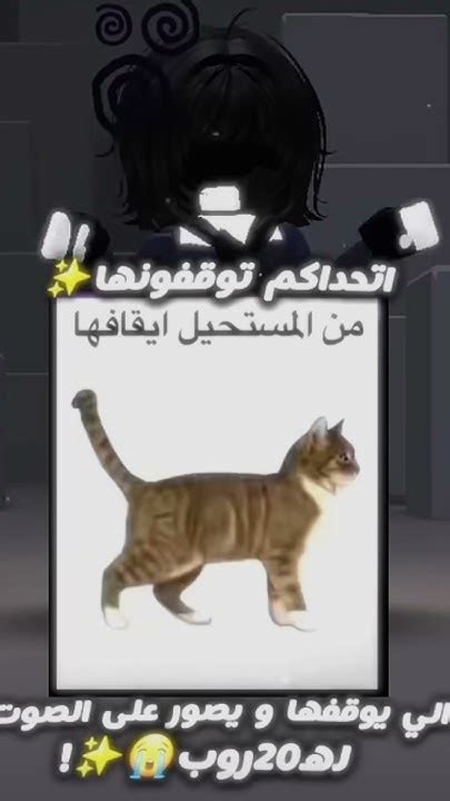 يلا وين فلوسي🤣🤣 Youtube