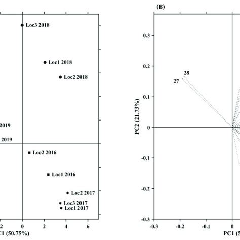 Principal Component Analysis Pca Scores A And Loadings Plot B Of
