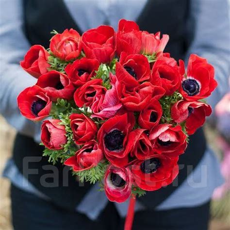 Букет из Анемонов Цветы Анемоны новый в наличии Цена 3 000₽ во Владивостоке