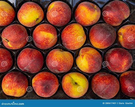 Peaches In Order Stock Image Image Of Vegetable Pesche 280617401