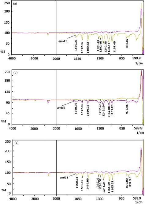 Ftir Atr Spectra Of Clean And Fouled Pes Membranes With C 0 10 G Dm