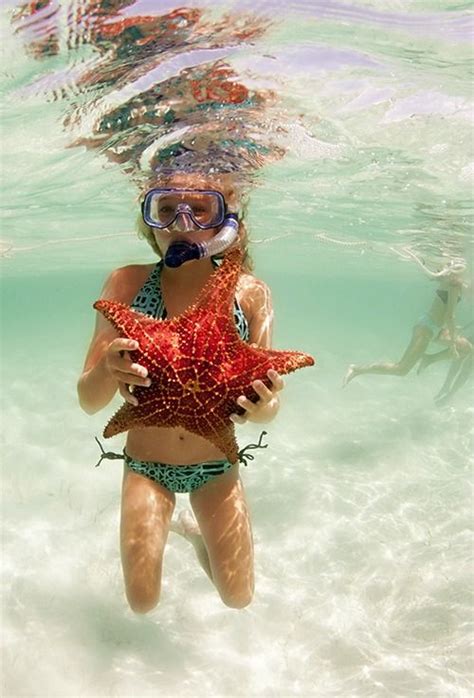 Our 26 Best Things To Do In Kona Beaches Coffee Tours More Artofit