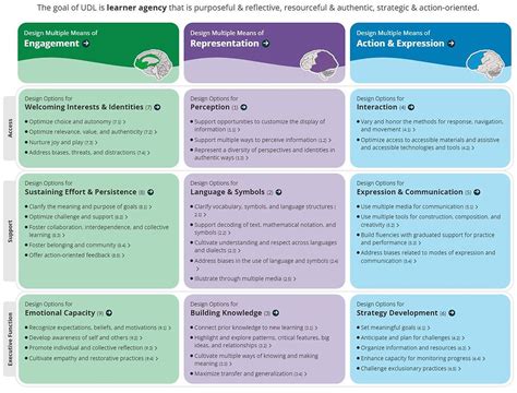 Cast And The Udl Guidelines Open Access 2 0