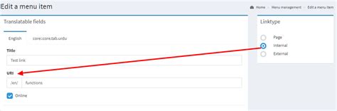 Getting Error When Creating A New Page And Link With Menu Item Issue