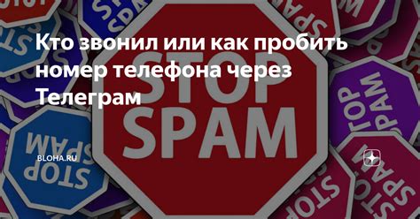 Кто звонил или как пробить номер телефона через Телеграм Дзен