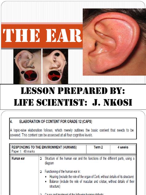 The Ear Notes Life Sciences Pdf
