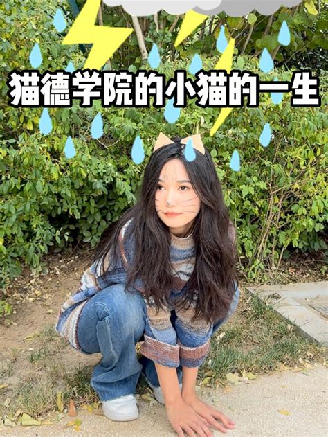 猫德学院的小猫的一生 爱壹帆