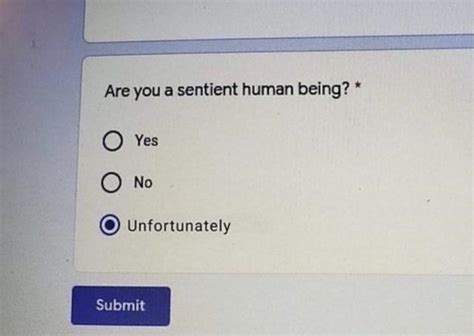 This Student Who Probably Smashed Their Computer Screen Immediately After This Photo Was Taken