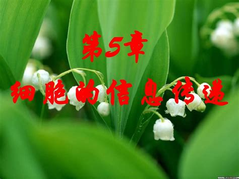 第5章 细胞的信息传递word文档在线阅读与下载无忧文档
