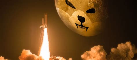 Why Shiba Inu Will Skyrocket Trading Education