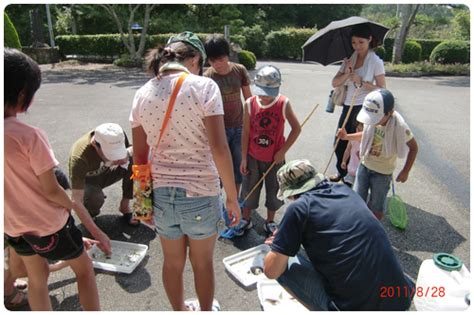 水生生物調査 志手原校区 虫尾区 夢 虫 尾
