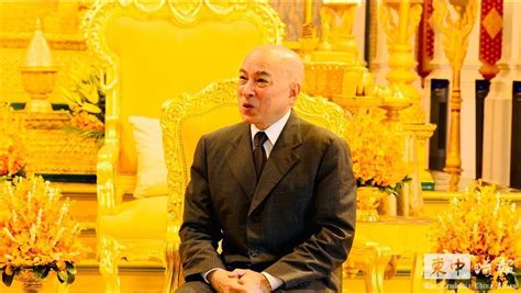 汪文斌大使向西哈莫尼国王递交国书 柬中時報