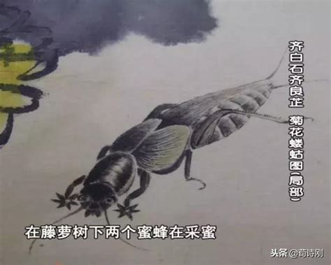 如何判別真假齊白石草蟲畫 每日頭條