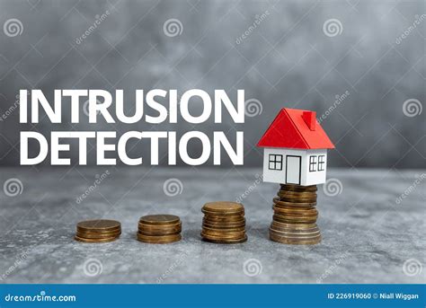 Diagram Of Intrusion Detection System Stock Photo CartoonDealer Com