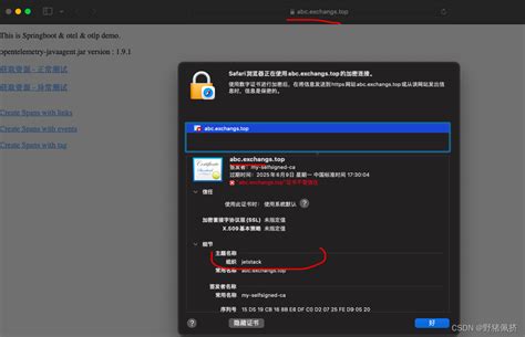 K8s 使用cert Manager证书管理自签kubernetes野猪佩挤 K8skubernetes