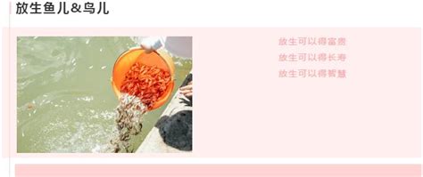 Release Blessing 深圳市云创服装设计有限公司