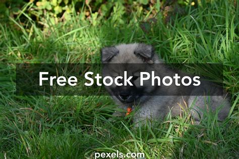 Spring Final Background Photos Download The Best Free Spring Final