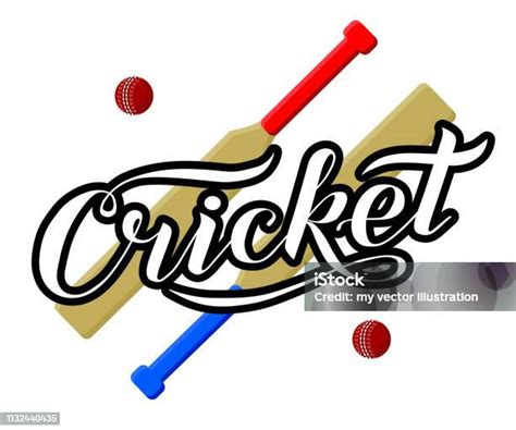 손으로 그린 크리켓 볼과 박쥐 벡터 일러스트 레이 션과 흰색 배경에 크리켓 레터링 텍스트 서 예 스포츠 피트 니스 활동 벡터 디자인입니다 로고 경쟁 티셔츠 및 캡 용 인쇄